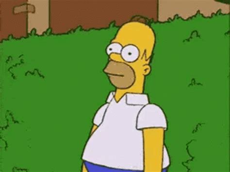 Homer Simpson Fade Away In The Bush 