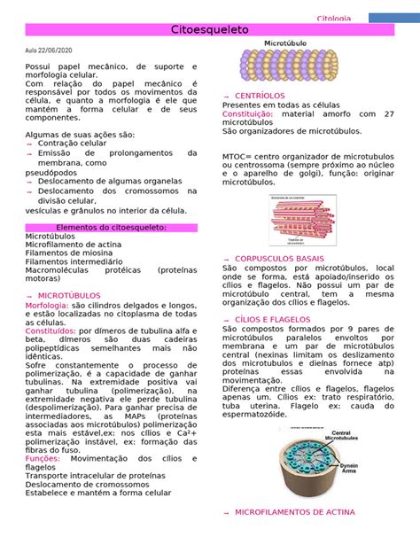 Aula 5 Citoesqueleto Pdf Citoesqueleto Célula Biologia