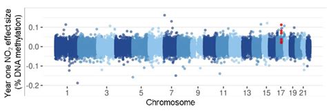 A Single Postnatal Specific Differentially Methylated Region DMR Was