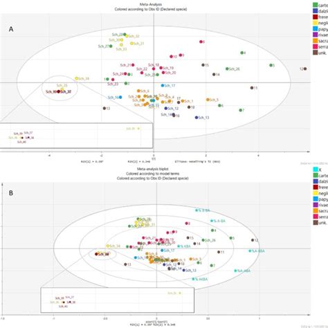 A Pca Score Plot For The Analysis Of The Samples In The Download Scientific Diagram