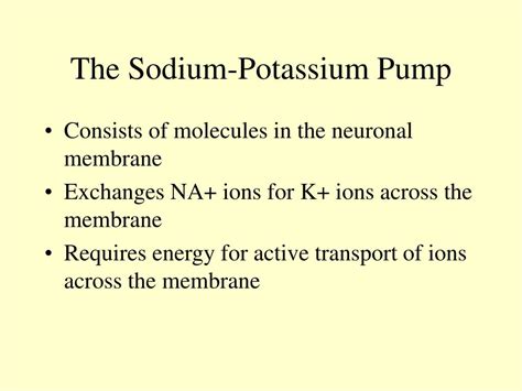 Sodium Potassium Pump In Neurons