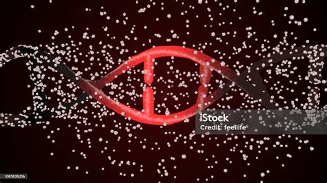 Dna 이중 나선 변경 흰색 배경에 고립 된 정상적인 Dna에 돌연변이 Dna Evolvings 3차원 형태에 대한 스톡 사진 및 기타 이미지 Istock