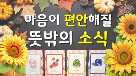 내 맘이 편안해질 뜻밖의 소식을 지금 타로카드가 읽어드립니다 타로 타로운세 운세 희망 소원성취 금전운 사업운