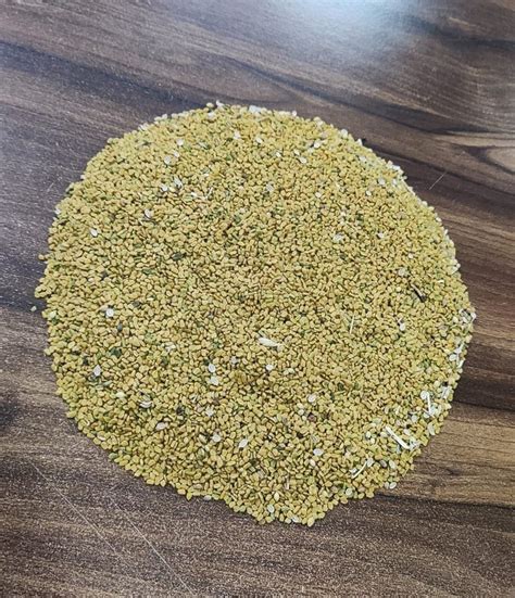 Golden Methi Dana Seed Packaging Type Loose At Rs 80kg In Neemuch Id 26587446573