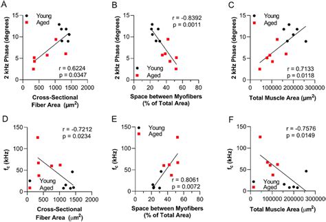 Age Related Changes In Zebrafish Muscle Morphology Correlate With