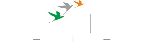 Csr Au Small Finance Bank Marks Van Mahotsav With All India Tree Plantation Drive I India Csr