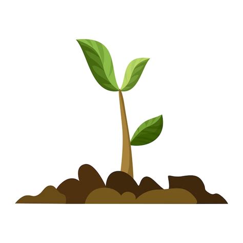 Premium Vector Stage Of Tree Growth Small Tree Growth With Green Leaf And Branches