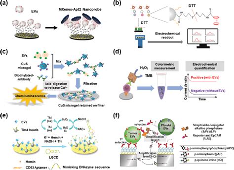 Ev Detection Based On Electrochemical Sensors A Ti3c2 Mxenes Enhanced