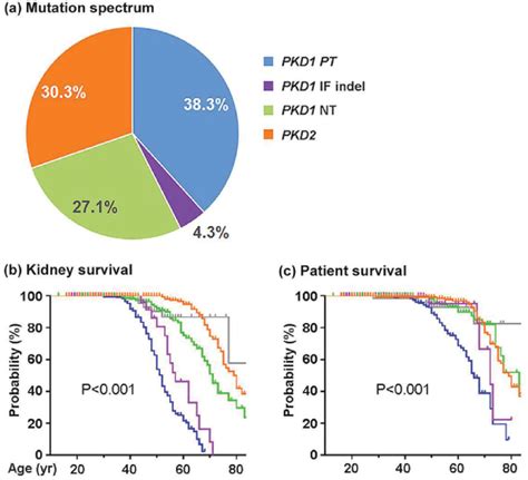 Mutation Spectrum And Clinical Correlates In Toronto Genetic