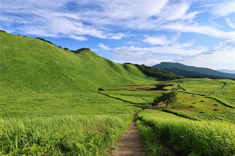 夏の曽爾高原 三部作 Ⅰ GANREF