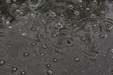 Premium Photo Background Puddle Rain Circles And Drops In A Puddle