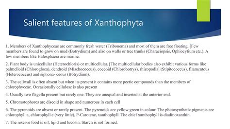 Introduction To Algae Ppt Pptx