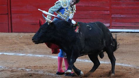 ¿las Corridas De Toros Y Peleas De Gallos En Cdmx Llegan A Su Fin Esto