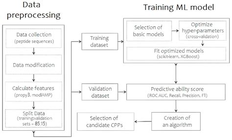 Triplep Cpp Algorithm For Predicting The Properties Of Peptide Sequences