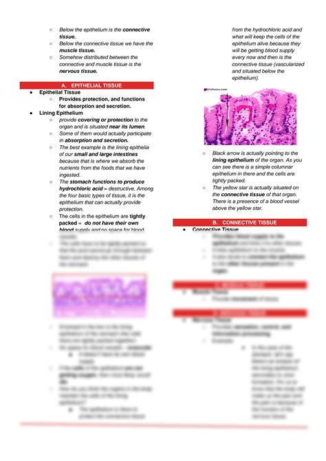 Solution Introduction To Histology Studypool
