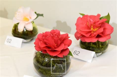 16 Festival Kamelija U Znaku 180 Godina Opatijskog Turizma