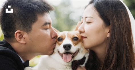 검은 셔츠를 입은 여자가 흰색과 갈색의 짧은 코팅 개를 안고 있다 사진 Unsplash의 무료 초상 이미지