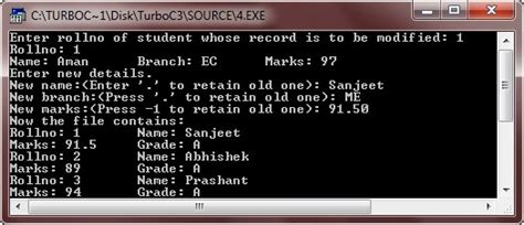C File Pointers And Random Access