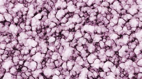 3d Animation With Moving Particles In Mass Motion A Lot Of Moving 3d