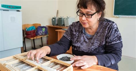 Удобрение из помета