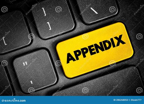 Appendix Is A Finger Like Blind Ended Tube Connected To The Cecum