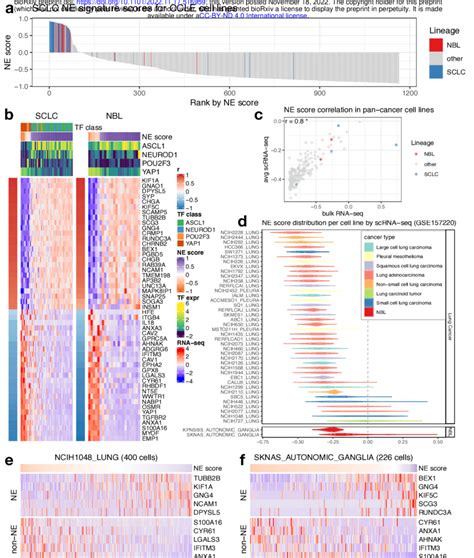 Inter And Intra Cell Line Ne Heterogeneity A Inter Cell Line Ne