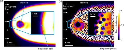 Examples Of Concentration Fields Measured In The Conservative Tracer