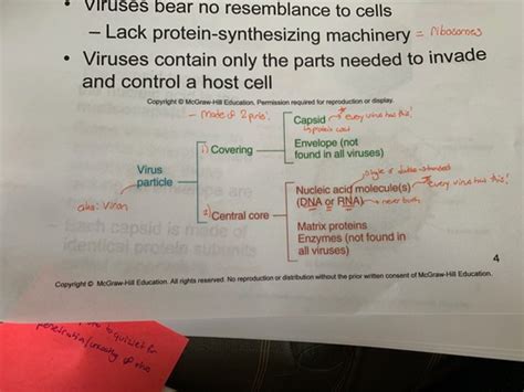 Intro To Viruses Flashcards Quizlet