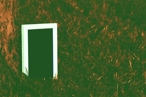 그림자 햇볕이 잘 드는 잔디에 텍스트를 위한 검은색 공간이 있는 흰색 프레임 간판에 대한 스톡 사진 및 기타 이미지 간판 공란 광고 Istock