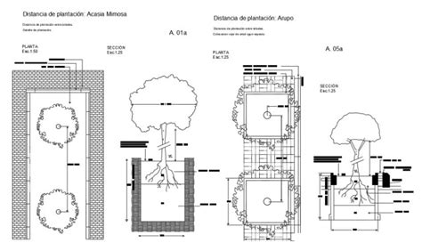 Cadbull On Tumblr The Tree Planting Plan And Section CAD Drawing Which Consist Acasia Mimosa