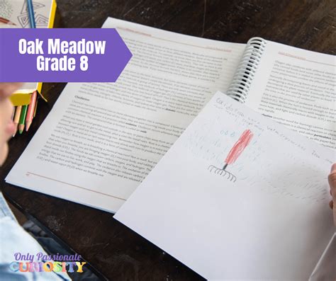 Oak Meadow Grade Eight Review Only Passionate Curiosity