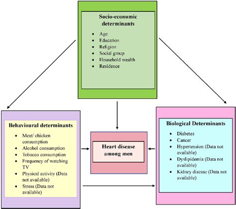 Conceptual Framework Showing Factors Associated With Heart Disease