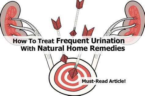 How To Treat Frequent Urination With Natural Home Remedies