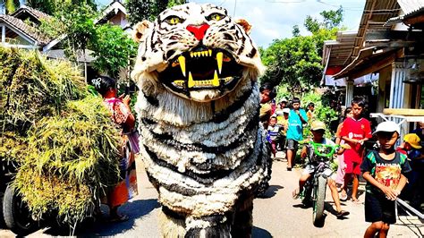 Asmr Lion Dance And Drumband Parade In The Village Can Macanan Singo