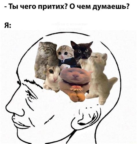 Пин на доске Мемы в 2024 г Кошачьи цитаты Котята Милые комиксы