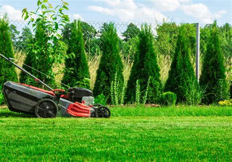 How To Increase Your Property Value With Smart Landscaping And Tree Service Lariviere