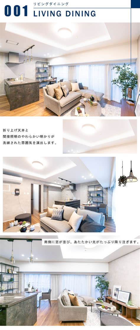 日神パレステージ西麻布 「西麻布」アドレスの南向き角部屋 東京の高級中古マンション／リノベーションマンションの【mitaina（ミタイナ）】