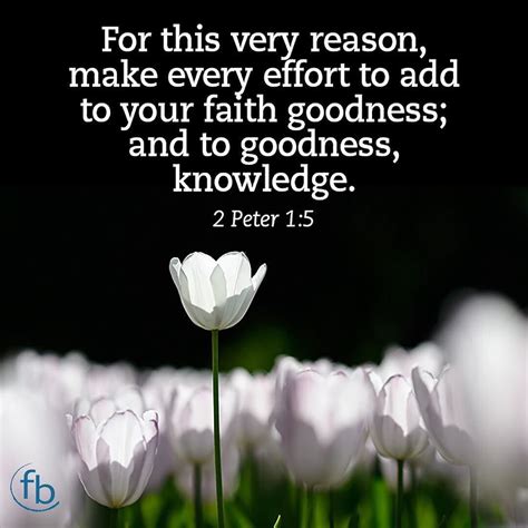 For This Very Reason Make Every Effort To Add To Your Faith Goodness
