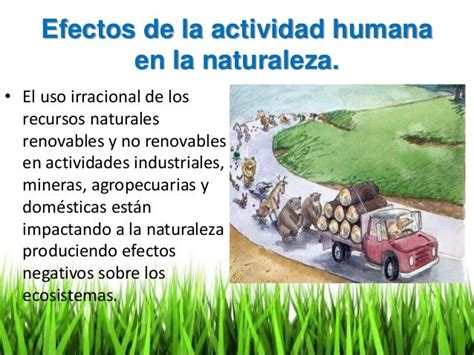 Efectos De La Actividad Humana Sobre La Naturaleza