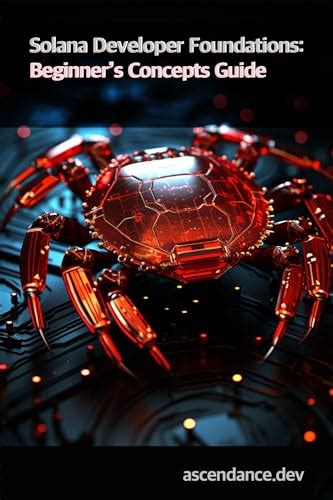 solana developer foundations beginner s concepts guide solana blockchain developer concept s