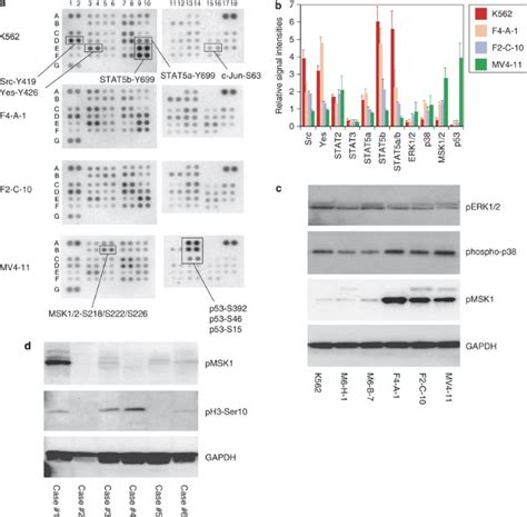 Msk1 Activation In Acute Myeloid Leukemia Cells With Flt3 Mutations