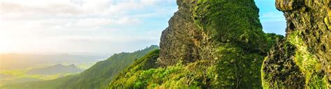 Tui Hoterene Shortland On Linkedin Media Releases Northland