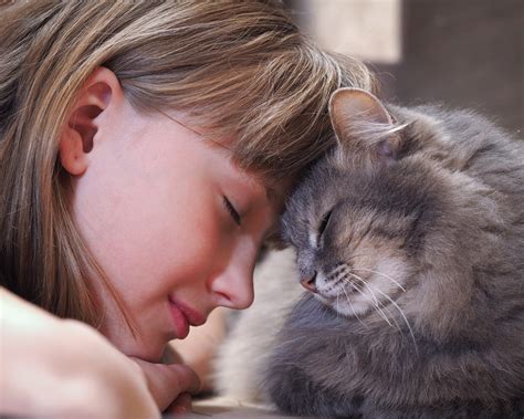 7 Reasons Why Humans And Cats Are A Match Made In Heaven By Feliway