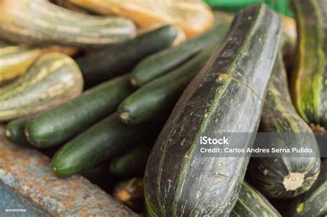현지 농산물 직거래 장터에서 가져온 다양한 신선한 오이 채소 호박 유기농 식품과 건강한 식생활 개념 복사 공간이 있는