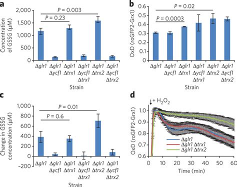 Trx2 But Not Trx1 Contributes To Cytosolic Gssg Reduction A