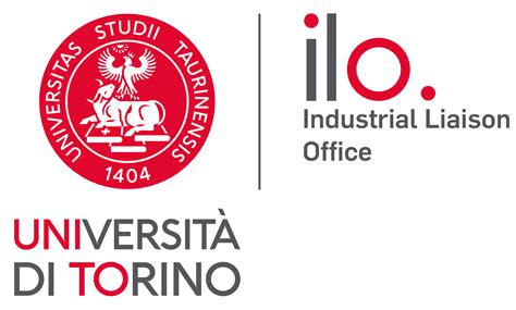 Sabina Rollo Piattaforme Scientifiche Unito