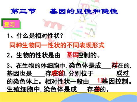人教版八级下册第七单元第二章第三节基因的显性和隐性“孟德尔”相关文档共29张word文档在线阅读与下载无忧文档
