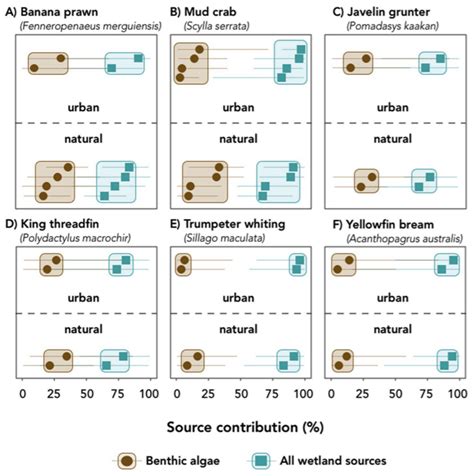 Isotope Ecology