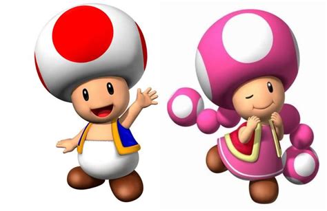 Toad And Toadette Mario Bros Mario Super Mario