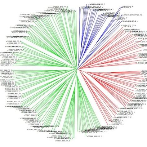 The Dendrogram Analysis Upgma Based On Genetic Distance Among 270